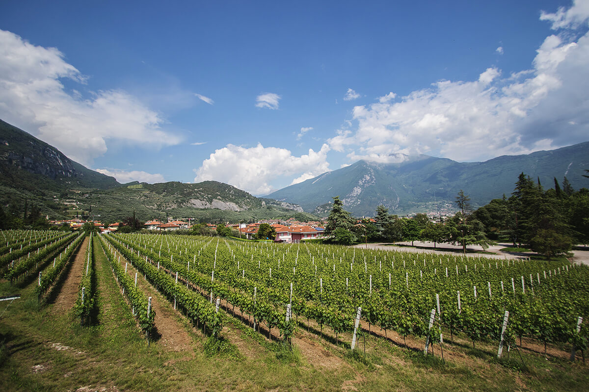 Territorio | Azienda Agricola Comai - Riva del Garda