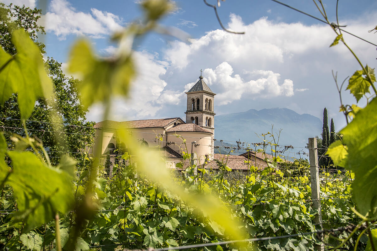 The region | Azienda Agricola Comai - Riva del Garda
