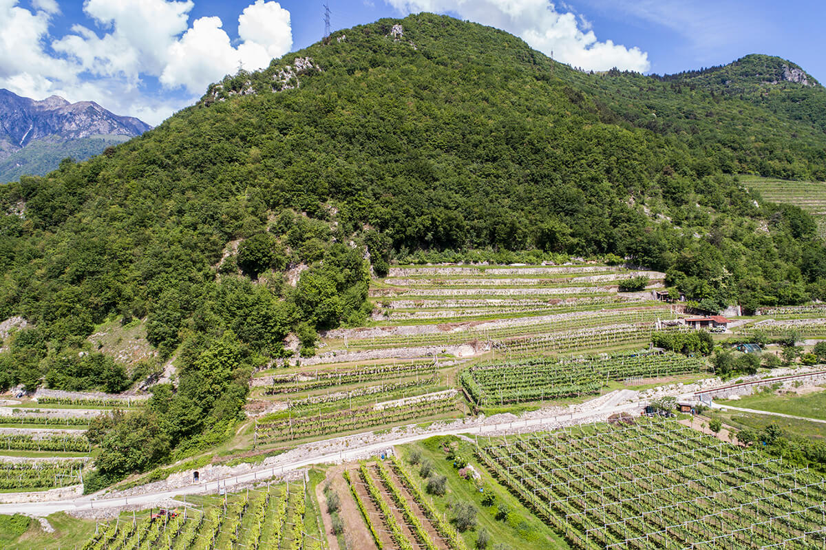 Territorio | Azienda Agricola Comai - Riva del Garda